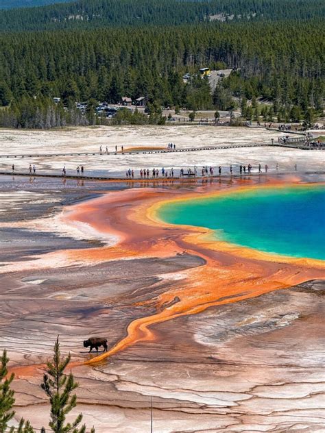 7 Tips For Visiting Grand Prismatic Spring In Yellowstone National Park