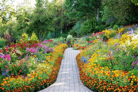 The Prettiest Places To See Flower Fields And Cherry Blossoms This