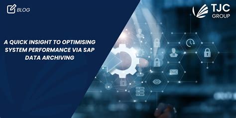 a quick insight into optimising system performance via sap data