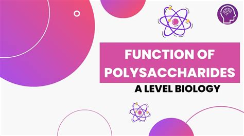 Function Of Polysaccharides A Level Biology Ocr Aqa Edexcel Youtube