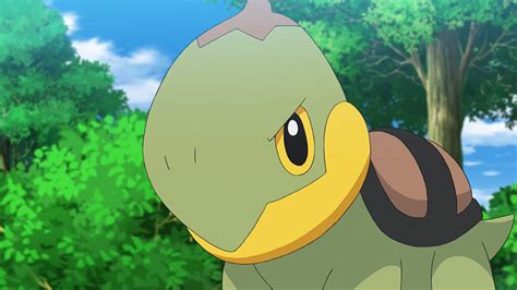 Best Grass Starters From All Pokémon Games Ranked Fandomspot