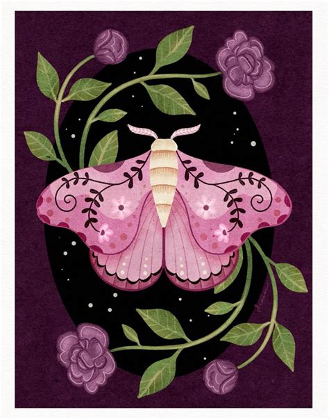 Digital Drawing Pink Moth Artwork