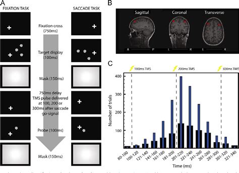 Figure From The Effects Of TMS Over Dorsolateral Prefrontal Cortex On Trans Saccadic Memory Of
