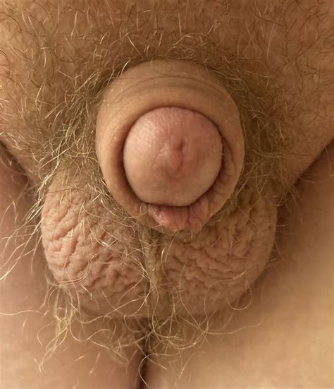 Repost My Penis Pic