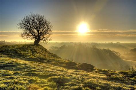 Sunshine Beautiful Landscape