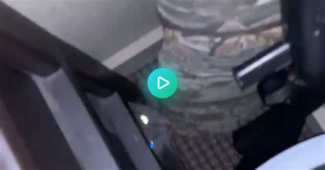 Camera Bug Album On Imgur