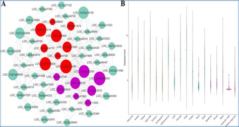 Researchers Discover Novel And Valuable Plant Gene Modules From Large