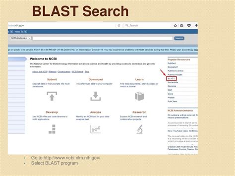 Blast Basic Local Alignment Search Tool