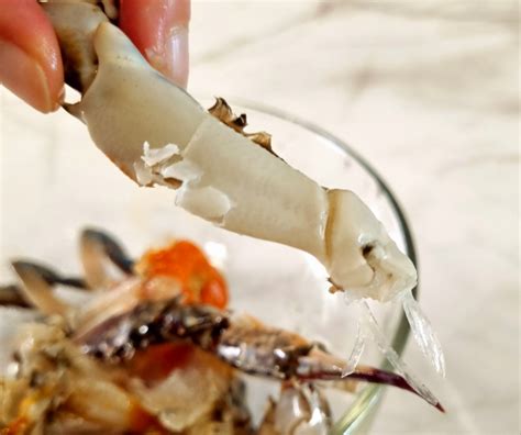 꽃게 냉동꽃게 손질법 꽃게 된장찌개 꽃게탕 끓이는법