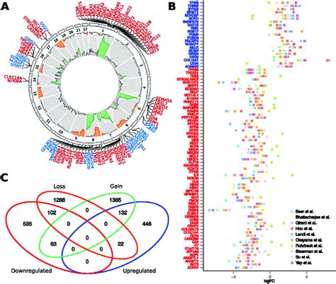 Association Between Chromosomal Copy Number Aberrations And