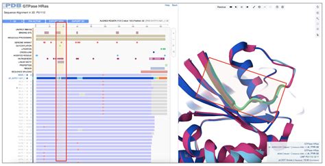 Explore Sequence Alignments In 3d
