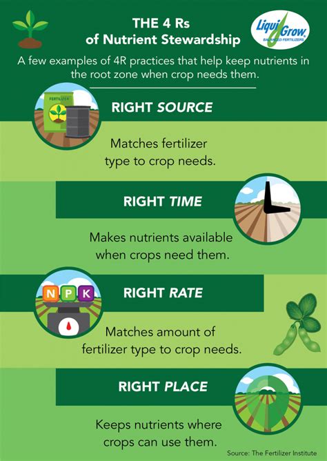 Fall Nitrogen Fertilizer Vs Spring Nitrogen Fertilizer Liqui Grow