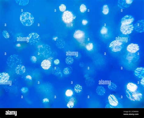Diffraction Patterns Hi Res Stock Photography And Images Alamy