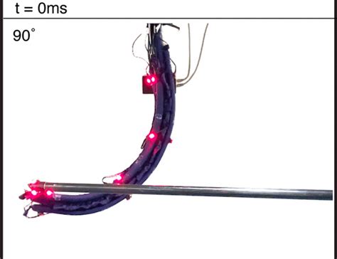 Igor Mezic On Linkedin Control Of Soft Robots With Inertial Dynamics
