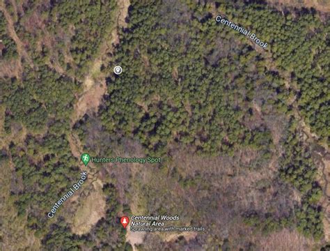 hello world centennial woods phenology