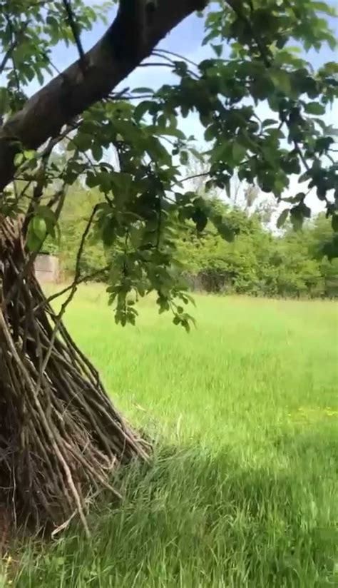 იყიდება მიწის ნაკვეთი ჯიღაურაში 30512173 Ss Ge