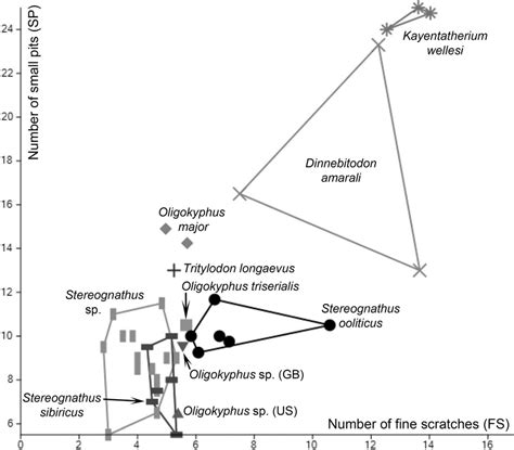 Bivariate Plot Of Stereomicroscopic Microwear Parameters Number Of