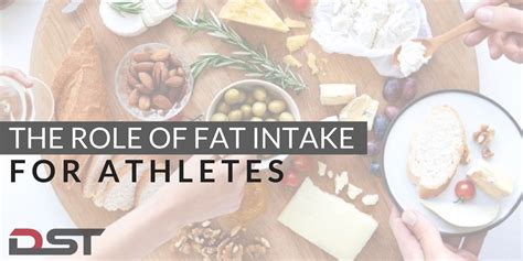 The Role Of Fat Intake For Athletes Dynamic Sports Training