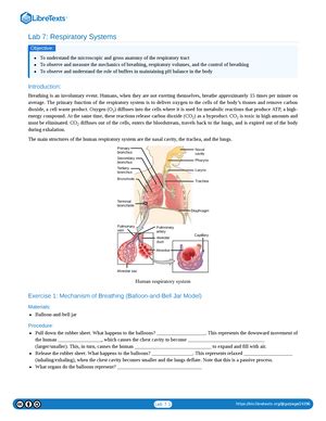 AP Lab Ex 09 Review Sheet Chapter 9 The Axial Skeleton Bio 211