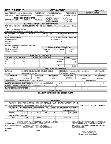 Terzer Logística Blog El Formato Del Pedimento Aduanal