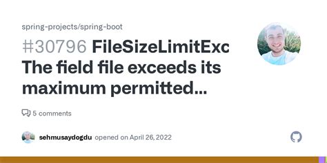 filesizelimitexceededexception the field file exceeds its maximum