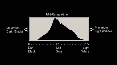 How To Read A Histogram Videomaker