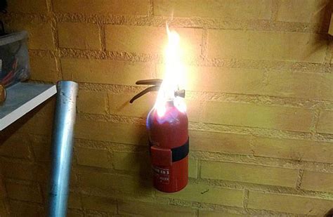 These 38 Ironic Photos Will Absolutely Make Your Day
