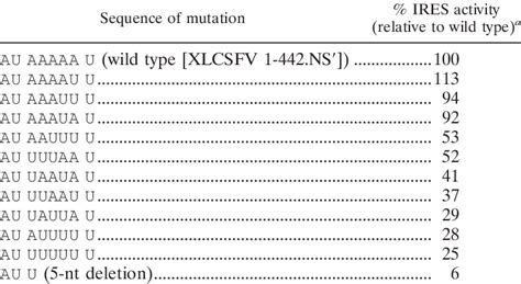 Ires Activity Of Pseudoknot Loop Mutations Download Table