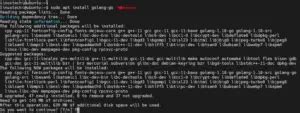 How To Install Go Golang On Ubuntu Linux Step By Step