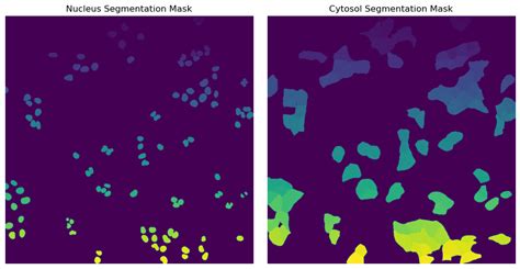 example notebook showcasing the different segmentation workflows