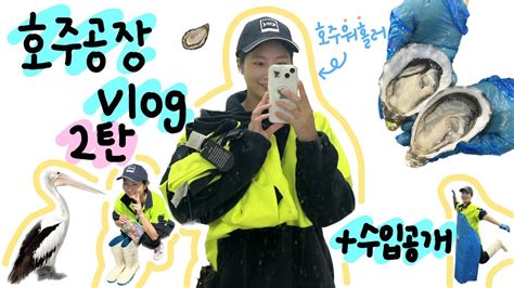 Vlog 🇦🇺호주워홀 세컨비자 씨푸드공장 브이로그 2탄 Feat수입공개🦘 Youtube