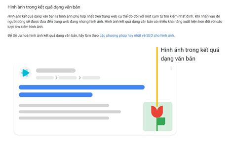 Tối ưu hình ảnh thu nhỏ xuất hiện trong kết quả tìm kiếm Ngọc Ánh Blog