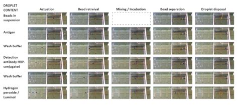 Electrowetting Based Digital Microfluidics Platform For Automated Enzyme Linked Immunosorbent