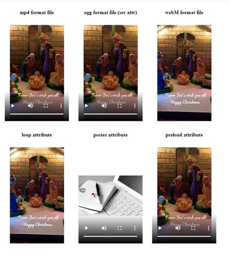 video tags in html5
