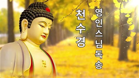 명상의말씀🌕부의 근원앞에 서다 🌕부귀차크라가 요동치는곳 소원성취 로또1등 스피또 2등 부동산 주식 자기긍정 자기암시 명상음악 돈을 부르는