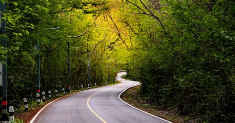 산 햇빛 광선 녹색과 오렌지 나무가 신선한 공기 자연과 함께 길 옆에있는 긴 길 사진 Unsplash의 공로 이미지