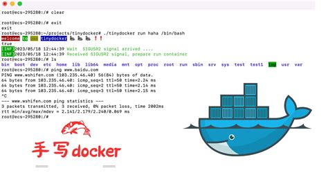 500行代码代码手写docker 将rootfs设置为只读镜像 docker 蓝胖子的编程梦 infoq写作社区