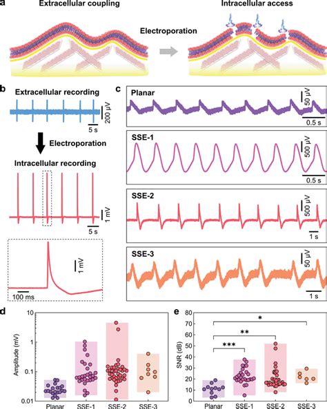 Intracellular Recording Of Action Potentials By Sses A Schematic