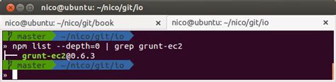 Command How Can I Find Out The Version Of An Installed Grunt Module Stack Overflow