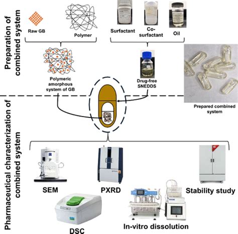Self Nanoemulsifying Drug Delivery System Combined With A Polymeric
