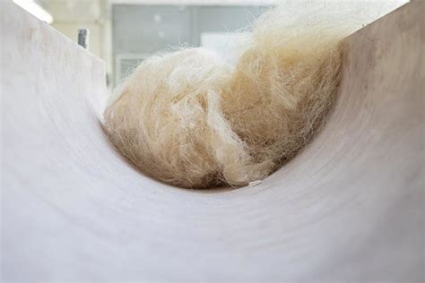 Fibrous Plaster An Eco Conscious Material · Rouveure Marquez