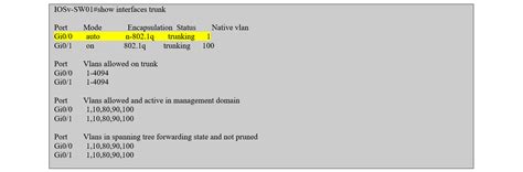 Vlan Hopping Attack Th3h4ckingqu3st
