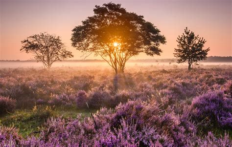 珈豪の学习仓库 珈豪の学习仓库