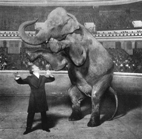 Magical Facts About Harry Houdini And His Illusions