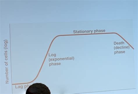 Biol 2420 Chp 3 Lecture Exam Diagram Quizlet