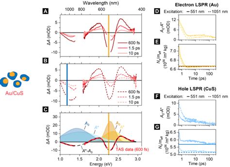 A B Tas Of Heterostructured Aucus Ncs At 600 Fs 15 Ps And 10 Ps