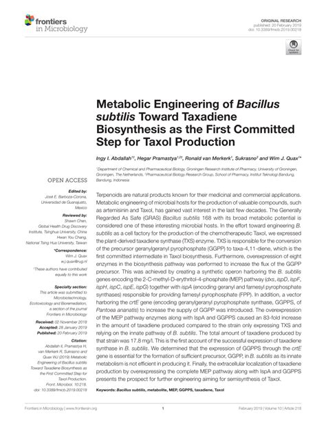 Pdf Metabolic Engineering Of Bacillus Subtilis Toward Taxadiene