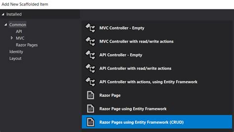 Install Entity Framework Core With Empty Template In Asp