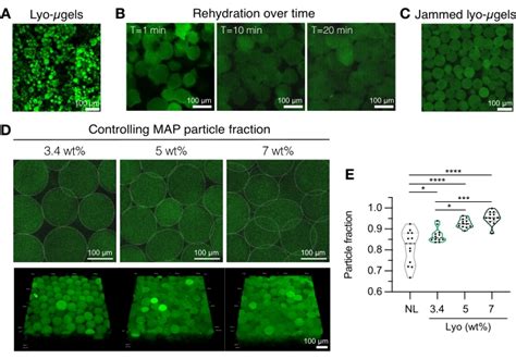 Controlling Particle Fraction In Microporous Annealed Particle