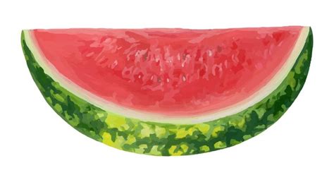 수박 과일 조각 신선한 열대 과일의 사실적인 손으로 그린 아크릴 그림 흰색으로 격리된 벡터 추적 클립 아트 프리미엄 벡터